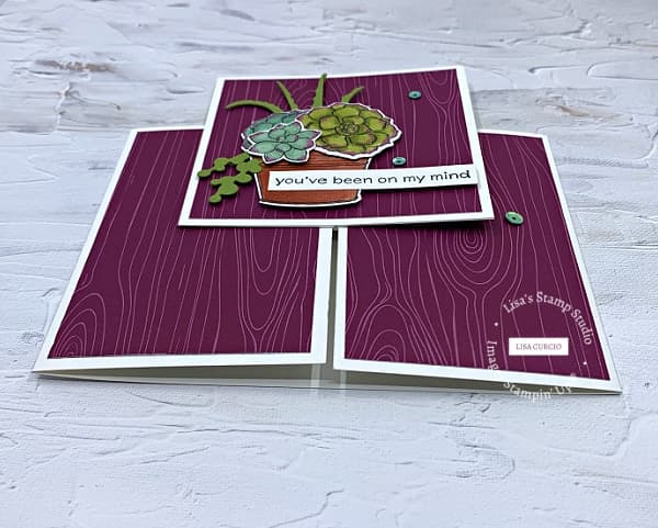How to Make a Slide and Lock Fun Fold Card That Will Be Impressive