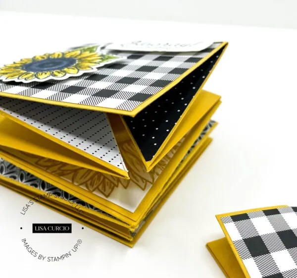 Create a Squash Fold Card in 3 Sizes - Lisa's Stamp Studio