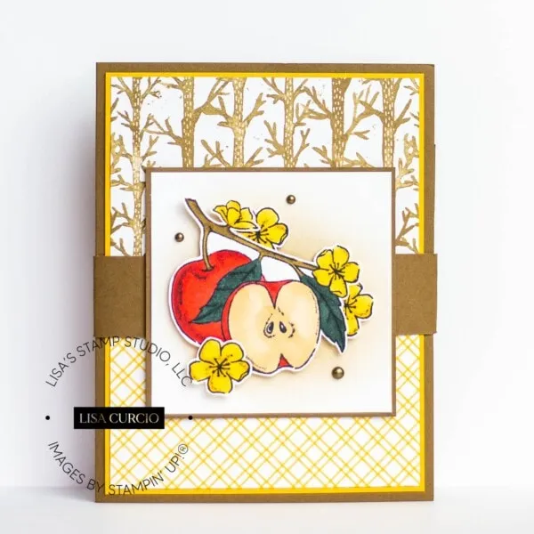 The Best Panel Z Fold Fun Fold Card Ever! - Lisa's Stamp Studio