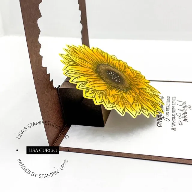 Learn How to Use Die Cuts to Create a Fun Fold Pop Up & Pivot Card