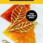 Use Acetate & Vellum with Embossing Folders for Amazing Card Making ...