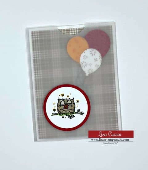 Vellum Wrap Card That Will Inspire You | Make it in Minutes Card Ideas