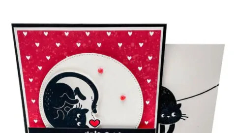 Make a Handmade Valentine Card That Has a Secret Message Hidden Inside!