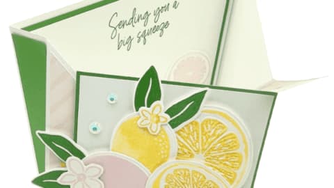 Don't Miss This Diagonal GateFold Card With a Twist - Lisa's Stamp Studio