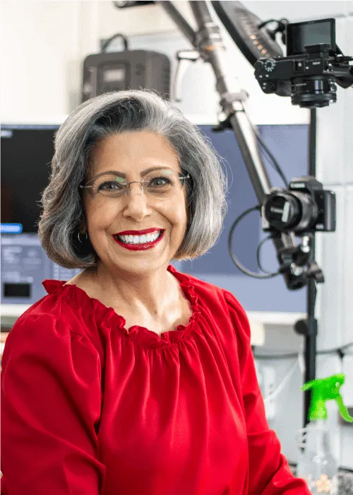 Online Events - Lisa's Stamp Studio: Free Card Making Videos- Stampin' Up!