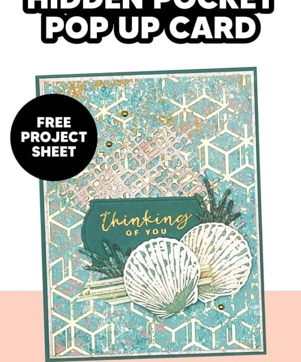 Easy Steps to Make This Interactive Slide Out Pocket Card