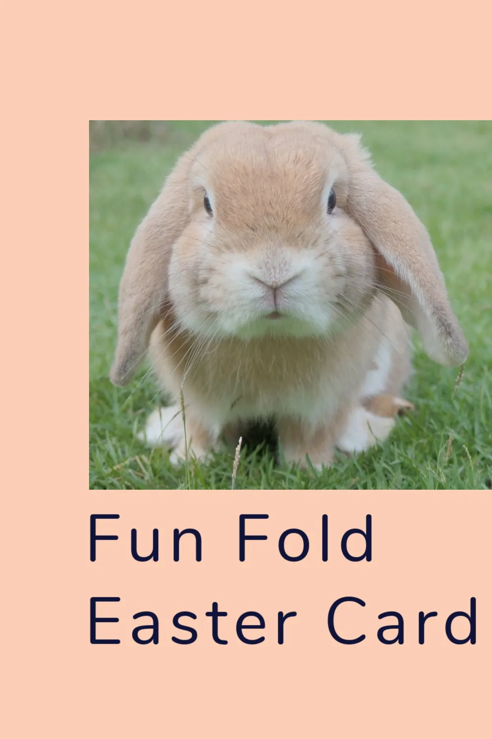 The Best Fun Fold Easter Card You Can Make This Season
